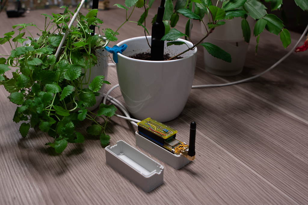 Indoor soil moisture sensor - Use Cases - The Things Network